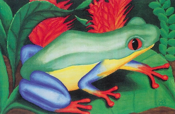 Rainbow Tree Frog