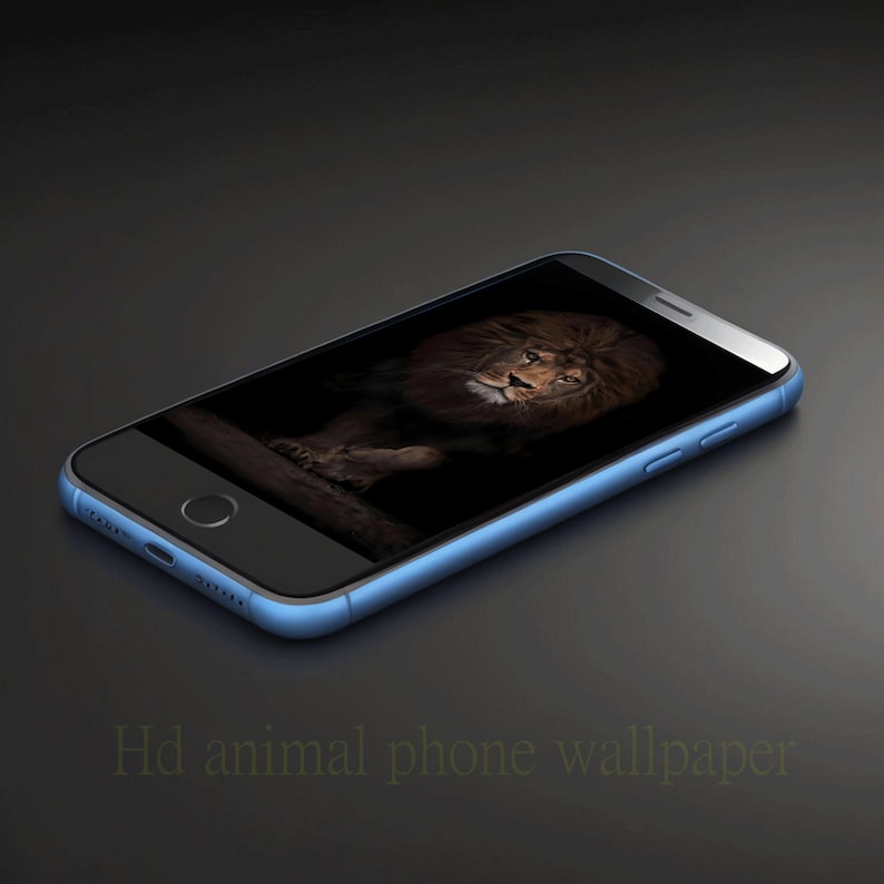 High-resolution Animal Phone Wallpapers | Stunning Wildlife Backgrounds ...