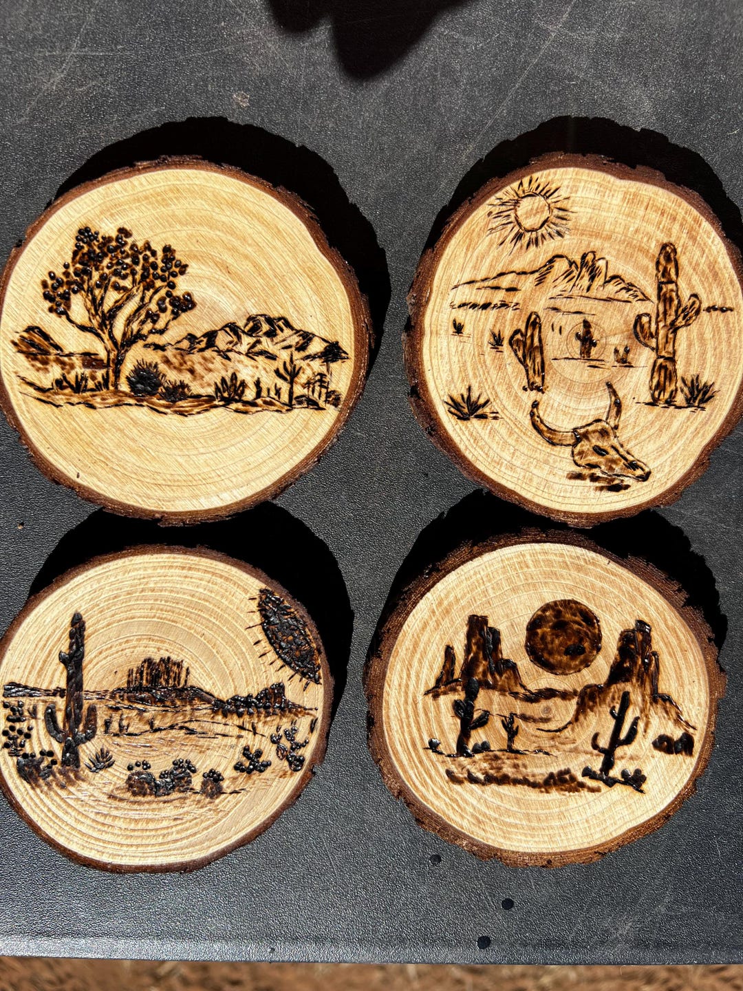 Desert Scene Coasters - Etsy
