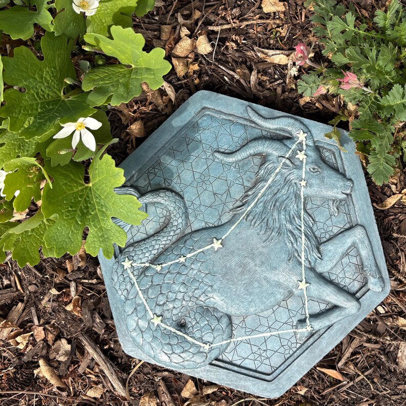 Capricorn Zodiac Concrete Stepping Stone With Glow in the Dark ...