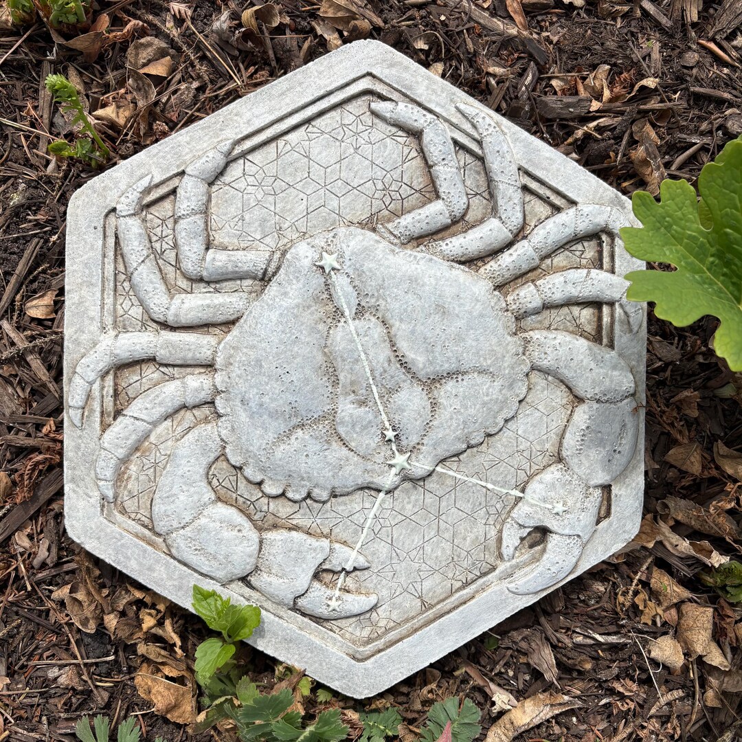 Cancer Zodiac Concrete Stepping Stone With Glow in the Dark ...