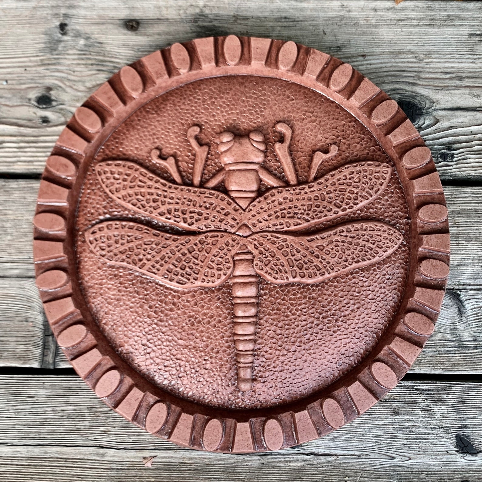 Cast Stone Dragonfly Stepping Stone (terracotta) and Garden Plaque - Etsy