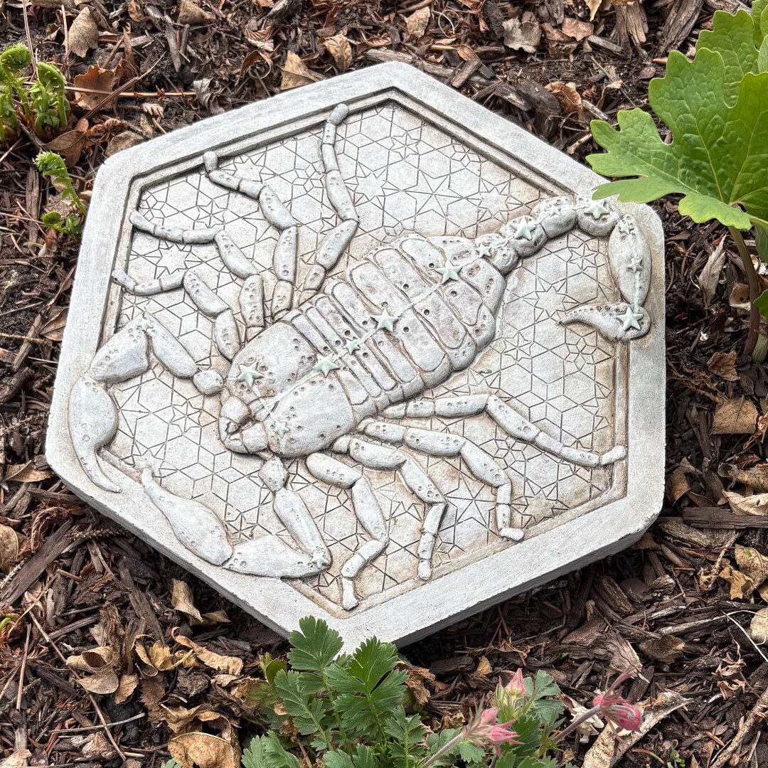 Scorpio Zodiac Concrete Stepping Stone With Glow in the Dark ...