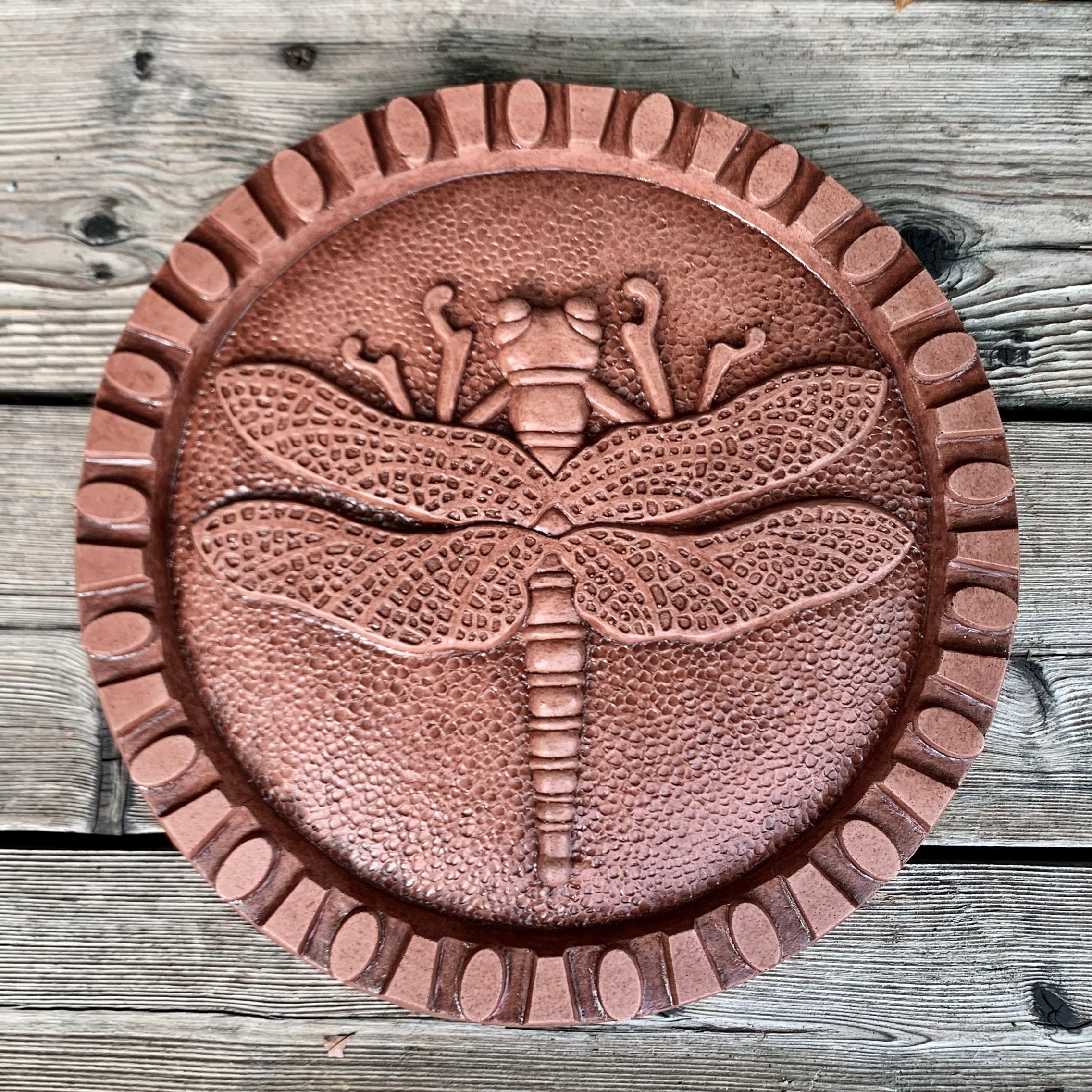 Cast Stone Dragonfly Stepping Stone terracotta and Garden | Etsy