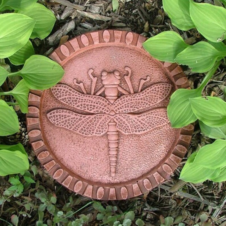 Cast Stone Dragonfly Stepping Stone terracotta and Garden | Etsy