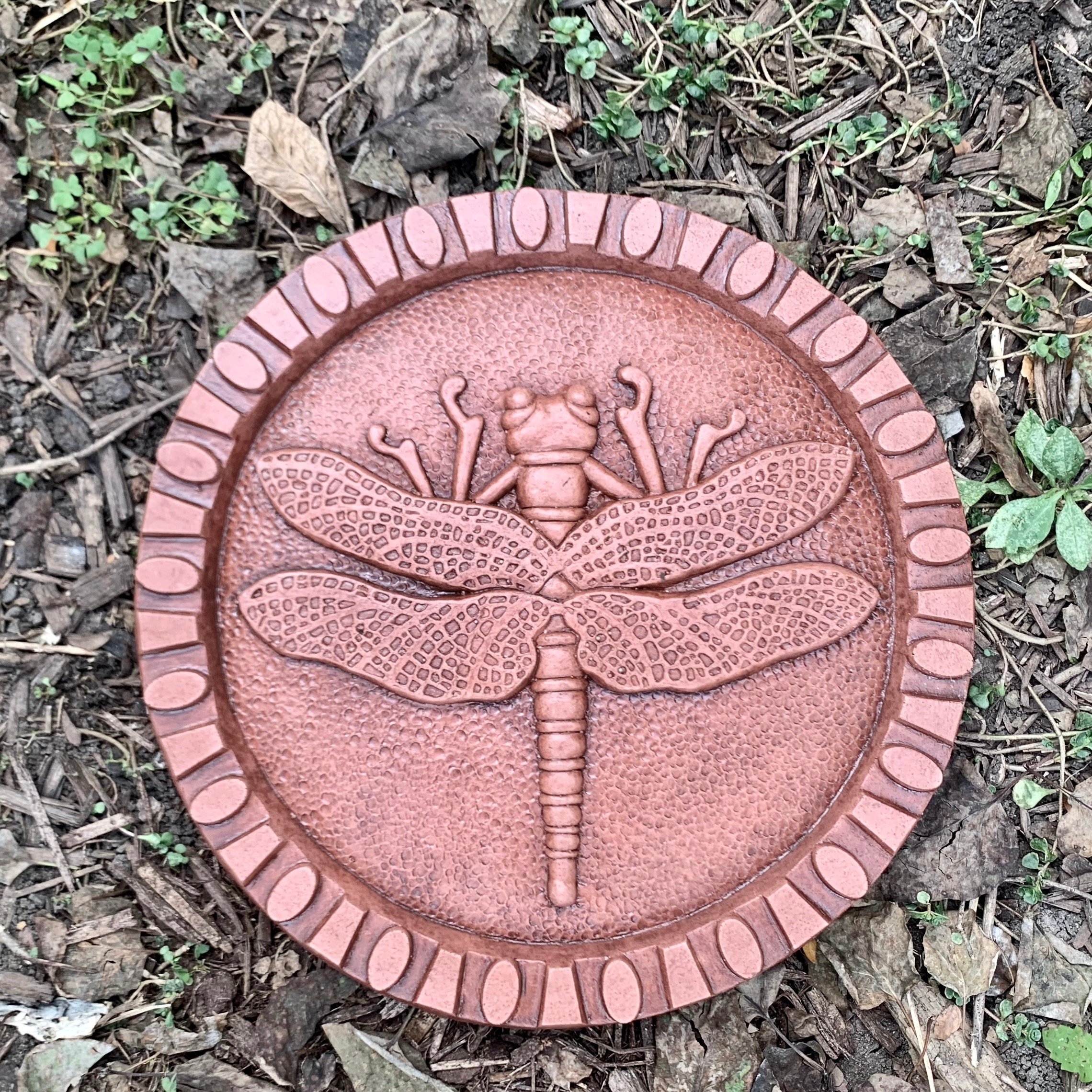 Cast Stone Dragonfly Stepping Stone terracotta and Garden | Etsy