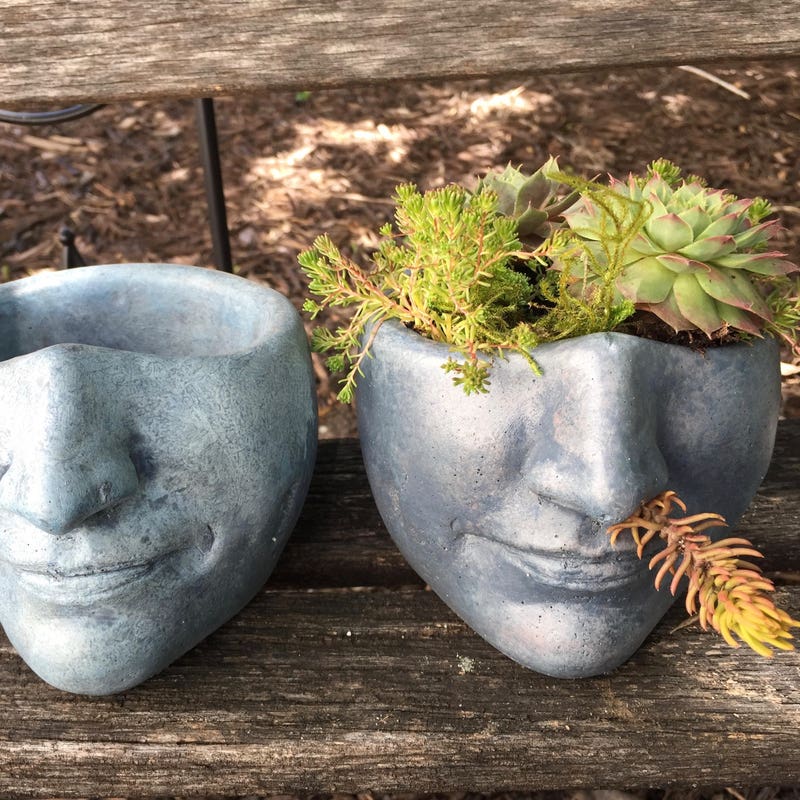 Face Planter - Etsy