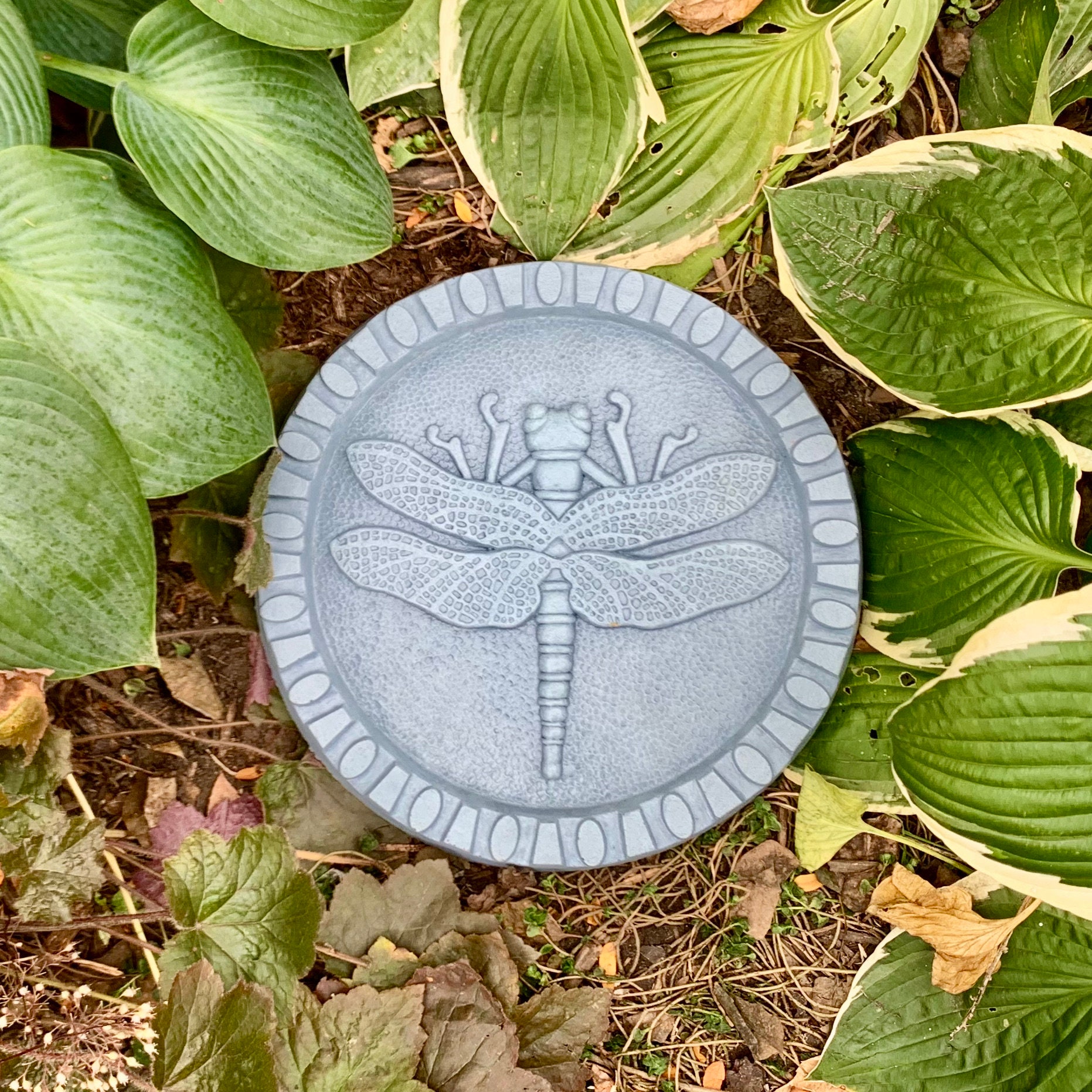 Cast Stone Dragonfly Stepping Stone bluestone and Garden | Etsy