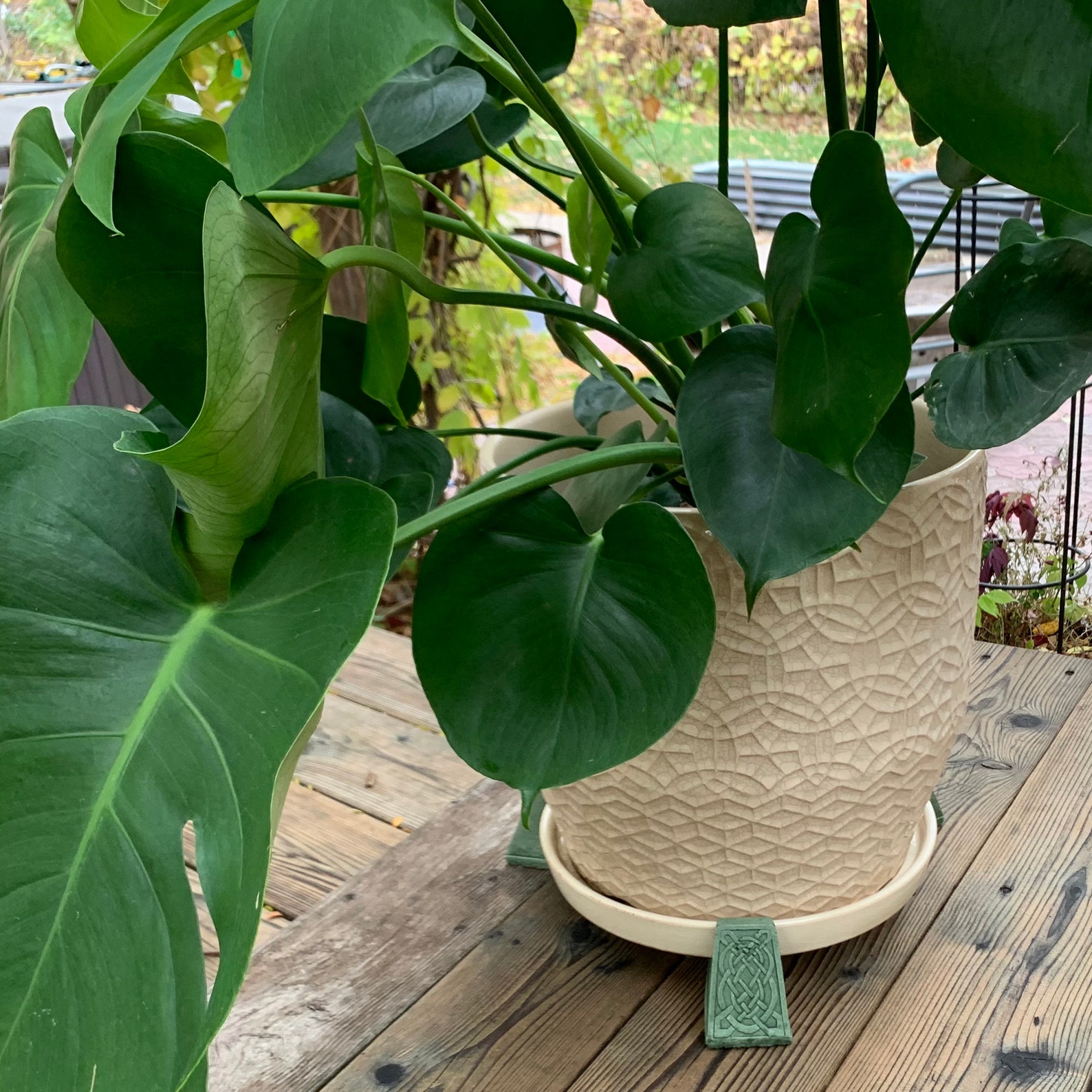 Celtic Knot Pot Feet in Moss green Set of Three - Etsy