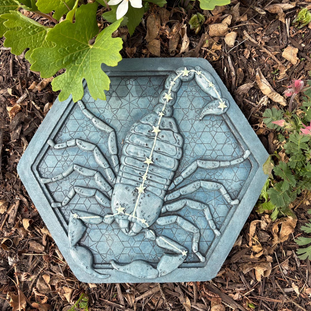 Scorpio Zodiac Concrete Stepping Stone With Glow in the Dark ...