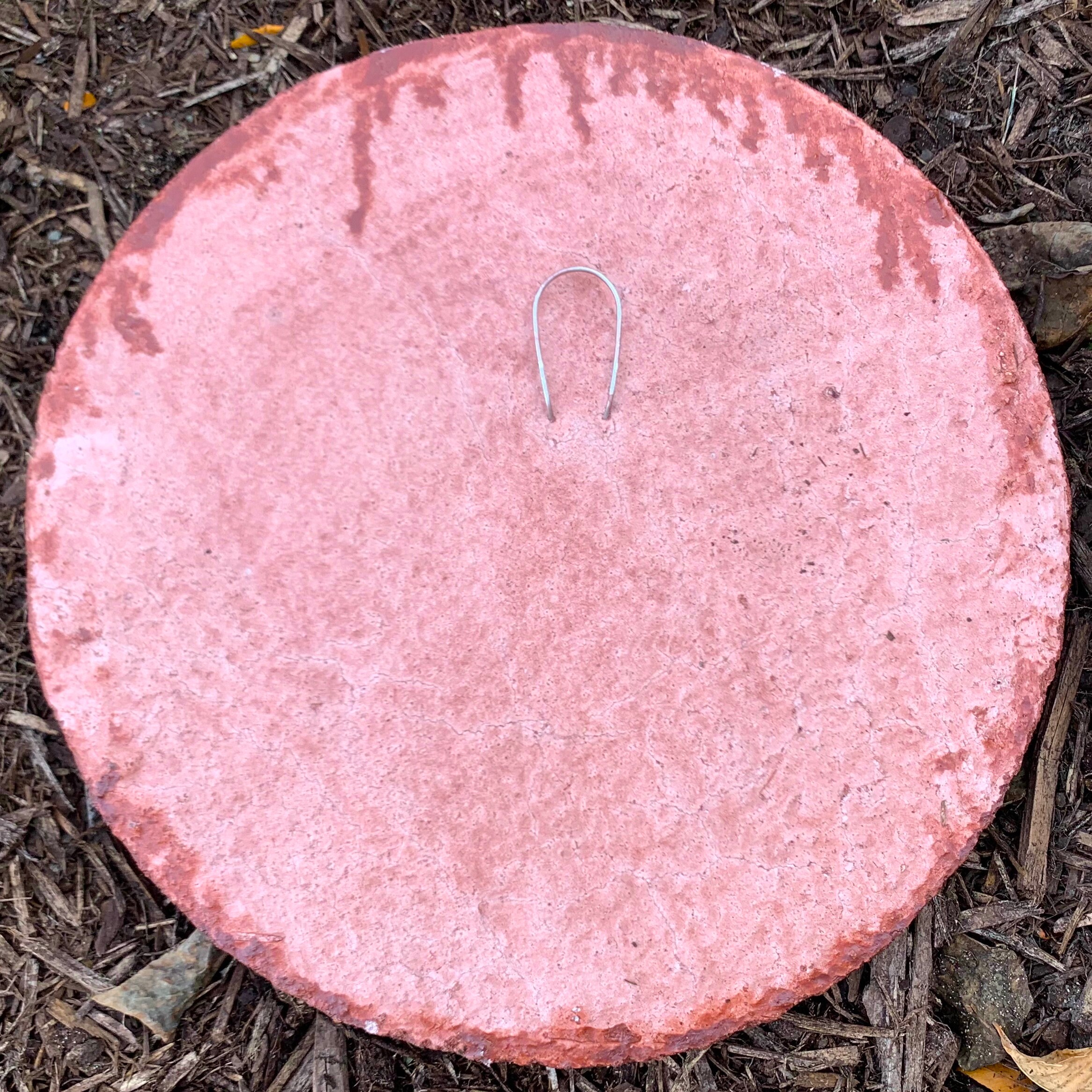 Cast Stone Dragonfly Stepping Stone terracotta and Garden | Etsy