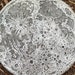Cast Concrete Full Moon Stepping Stone Stepping Stone - Etsy