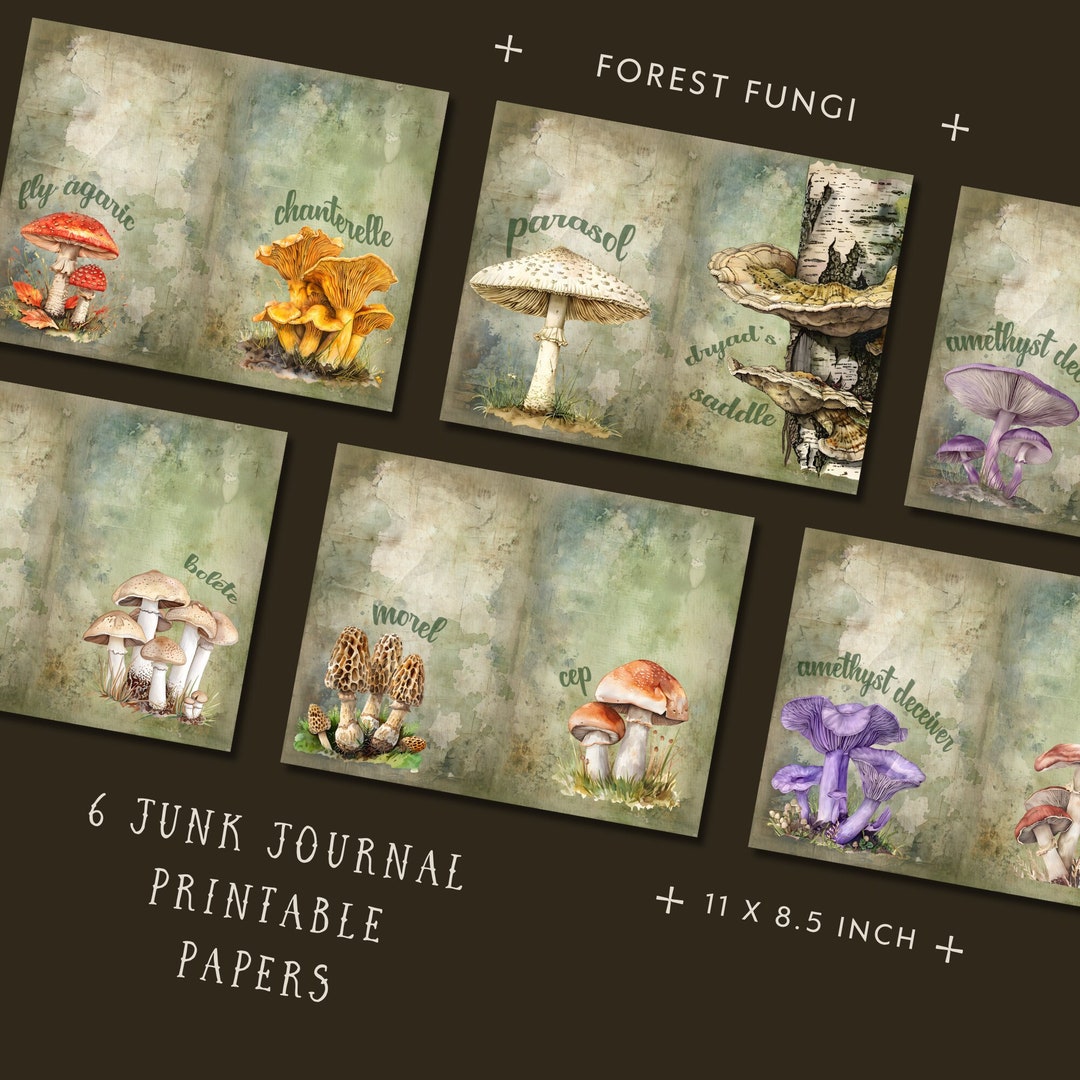 Mushroom Journal Pages, Forest Fungi Junk Journal Paper, Printable Digi ...