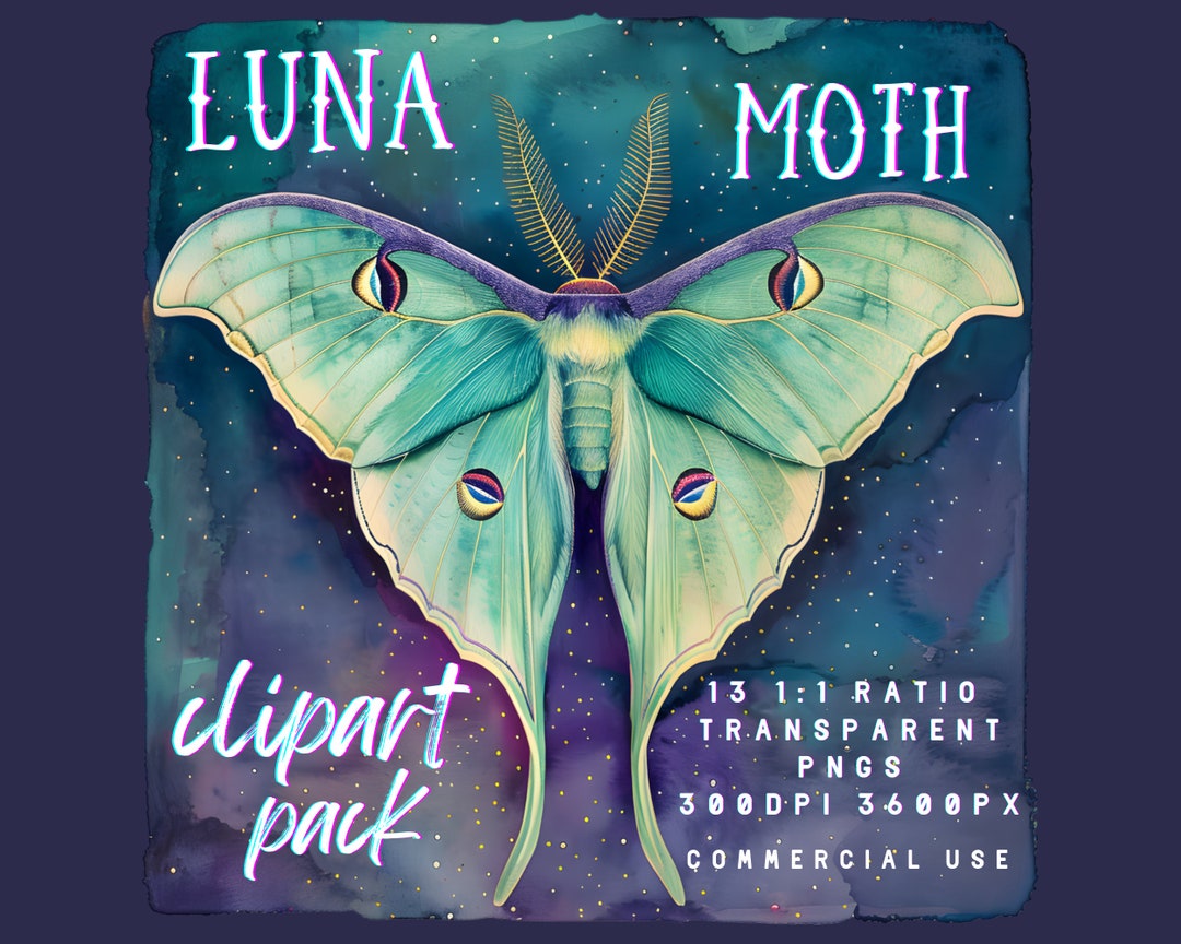 Luna Moth Clipart | Mystical Butterfly PNG | Moth Art | Print on Demand ...