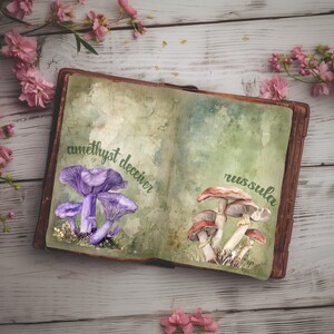 Mushroom Journal Pages, Forest Fungi Junk Journal Paper, Printable Digi ...