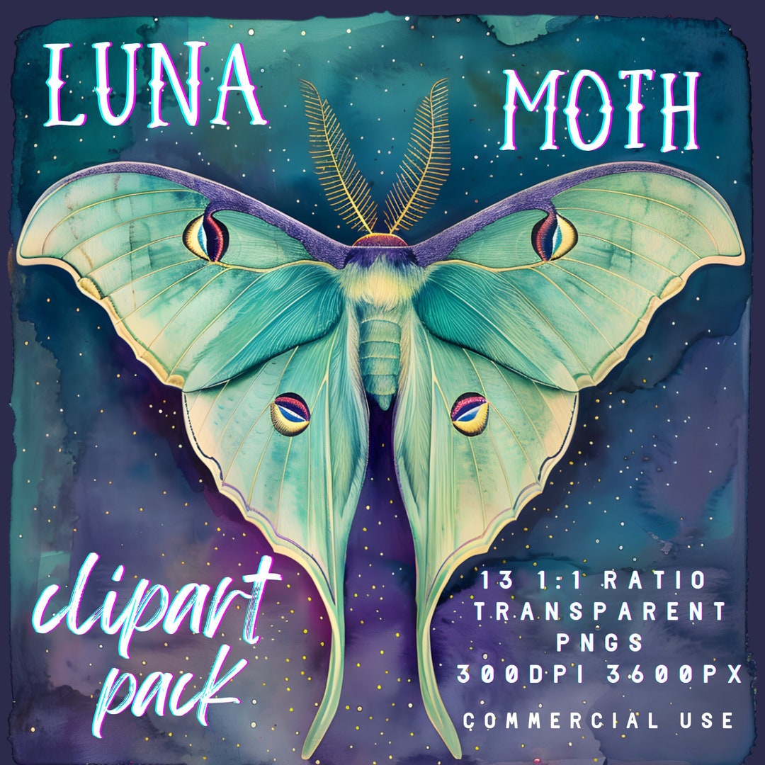Luna Moth Clipart Mystical Butterfly PNG Moth Art Print on Demand ...
