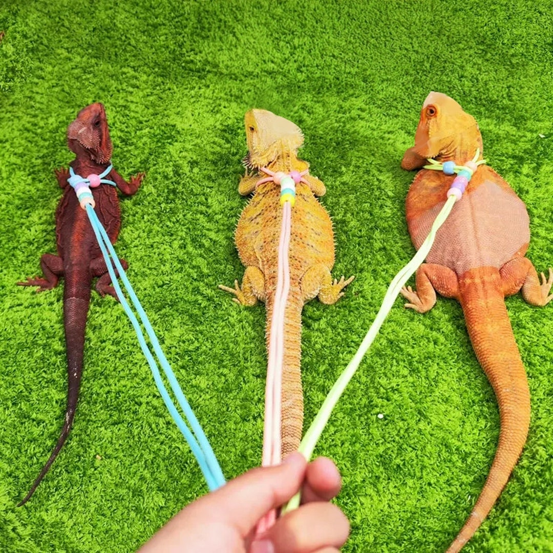 Leash for Bearded, Dragon Harness for Lizard Leash Iguana Harness ...