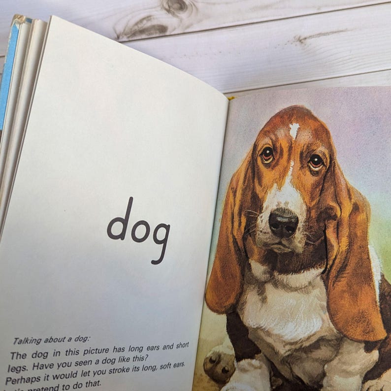 Vintage Ladybird Book A Ladybird Second Picture Book Series 704 - Etsy