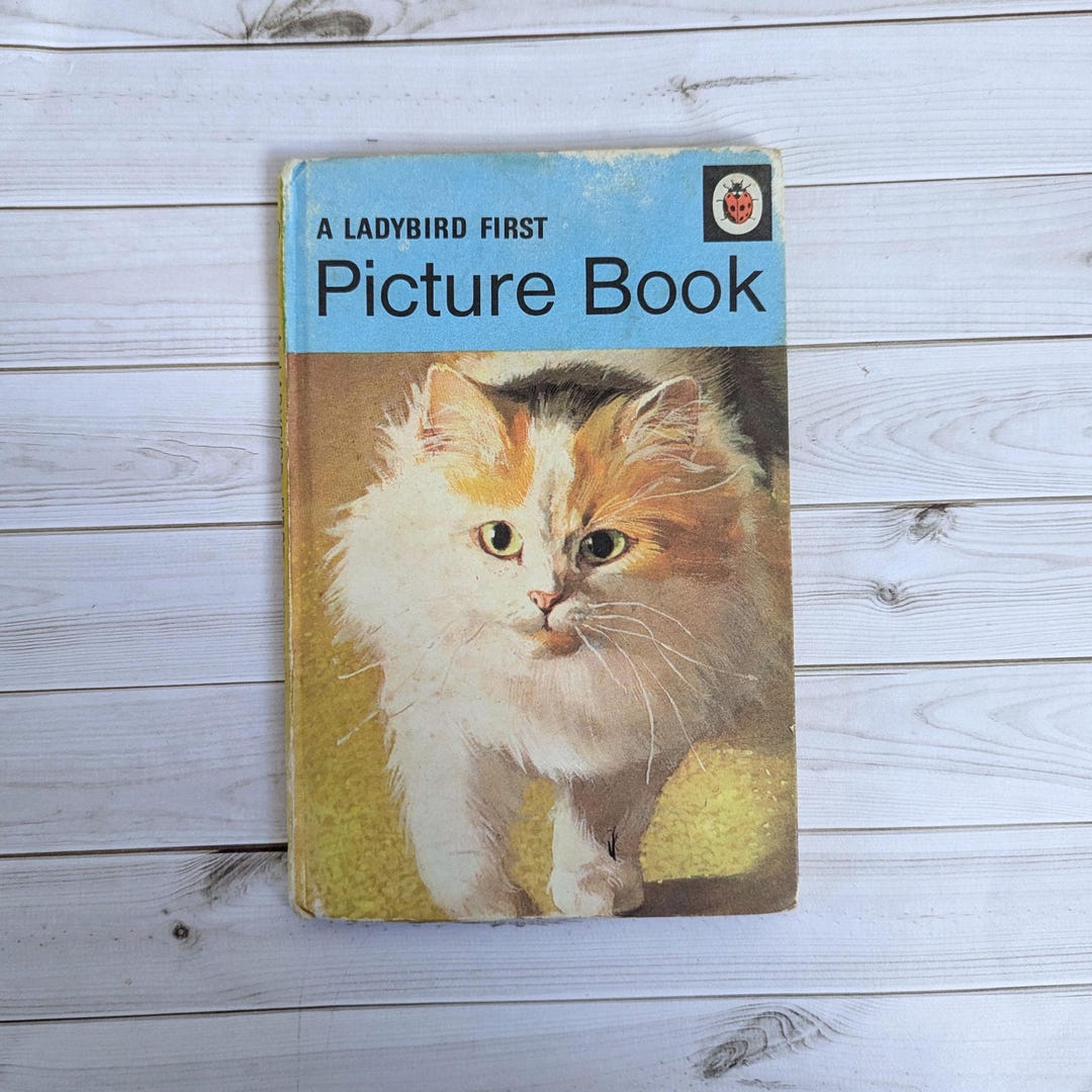 Vintage Ladybird Book A Ladybird Second Picture Book Series 704 - Etsy
