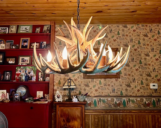 28 Inch Real Whitetail Deer Antler Chandelier: Rustic Cabin Lighting ...
