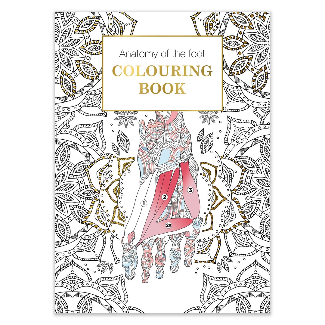 Anatomy of the Foot Colouring Book Anatomy Colouring Human Anatomy ...