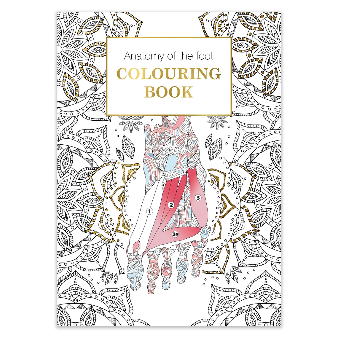 Anatomy of the Foot Colouring Book Anatomy Colouring Human Anatomy ...