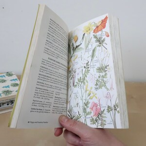 Vintage Golden Guide to Field Identification Wildflowers of North ...