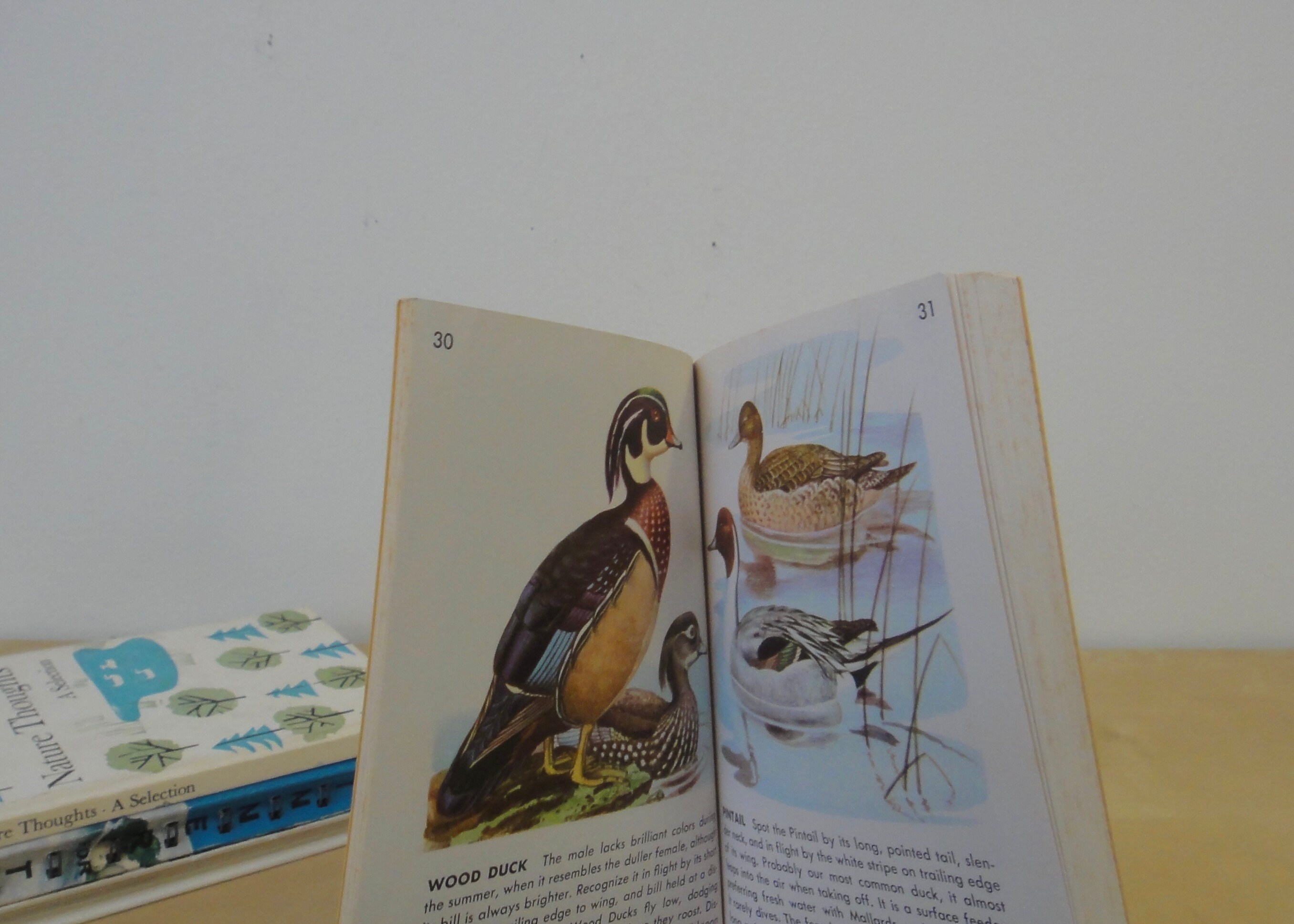 Vintage Birds Book A Golden Nature Guide | Etsy