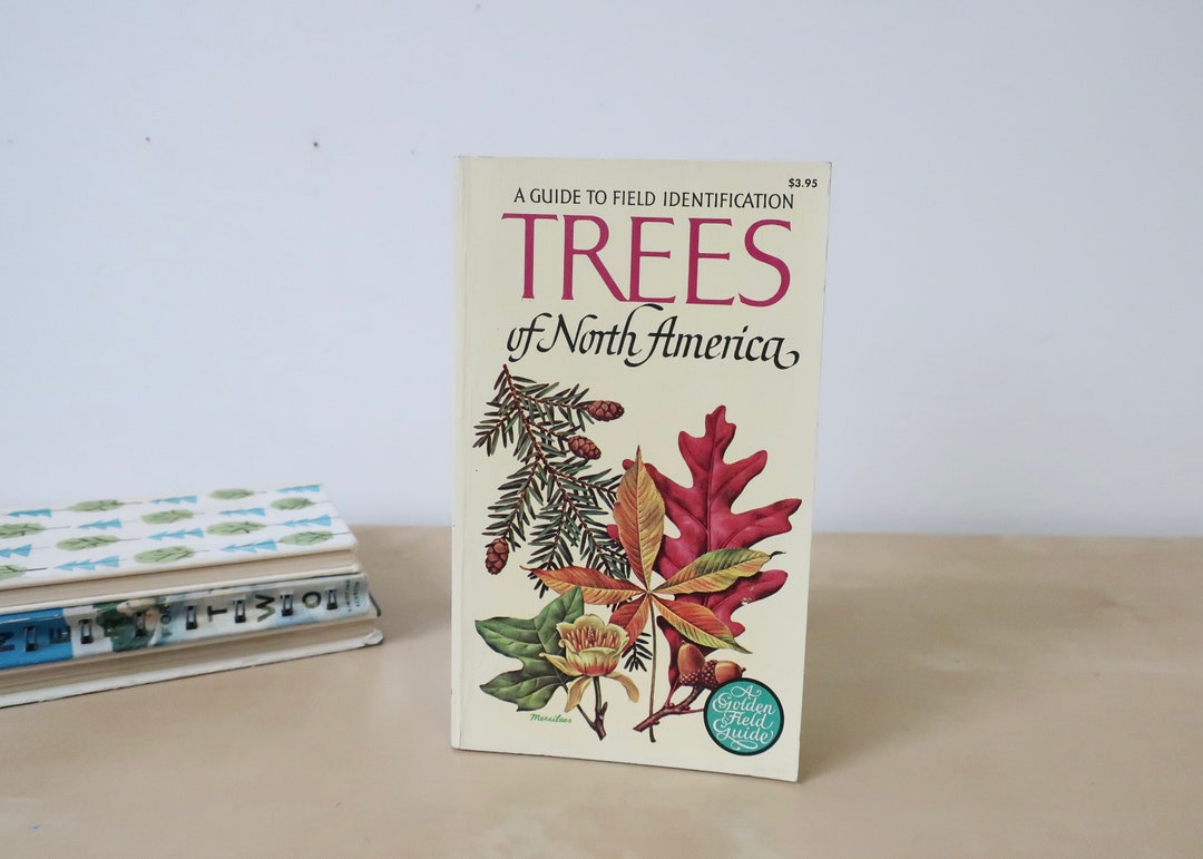 Vintage Golden Guide to Field Identification Trees of North America ...