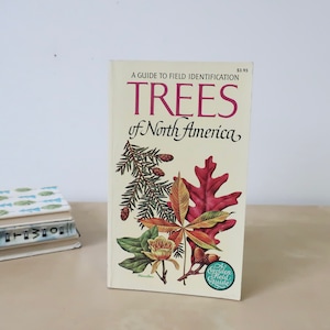 Vintage Golden Guide to Field Identification Trees of North America ...