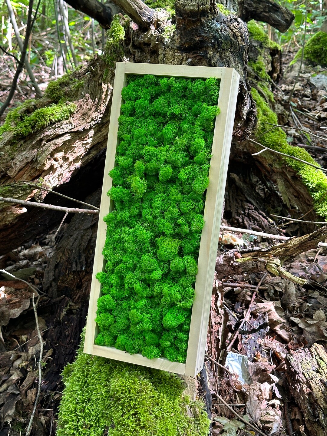 Moss Panel, Moss Wall Decor, Moss in Frame, Moss Art, Living Art, Real ...