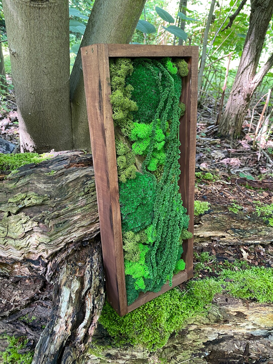 Moss Wood Panel, Moss Wall Decor, Moss in Frame, Moss Art, Green Moss ...