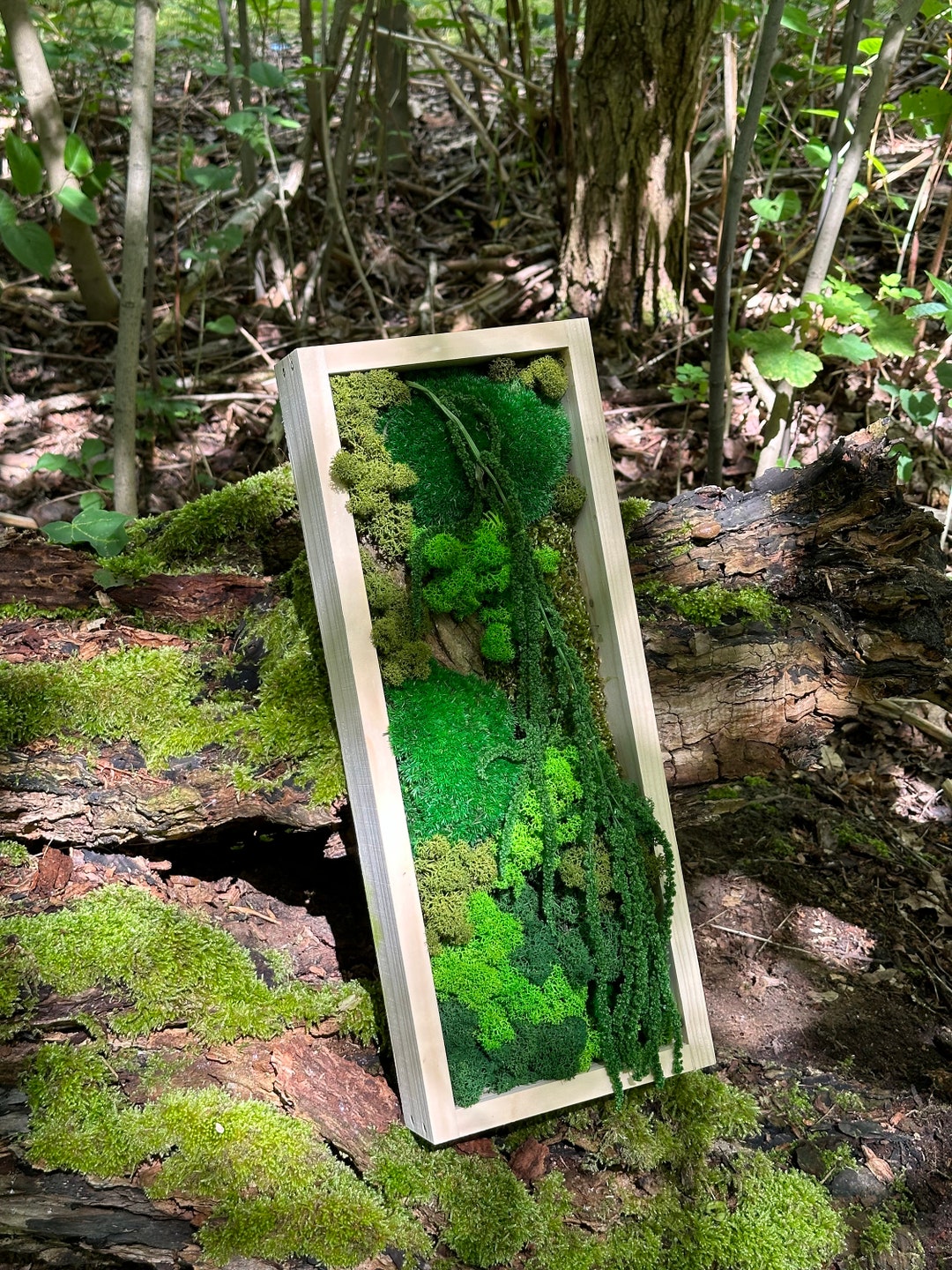 Moss Panel, Moss Wall Decor, Moss in Frame, Moss Art, Living Art, Real ...