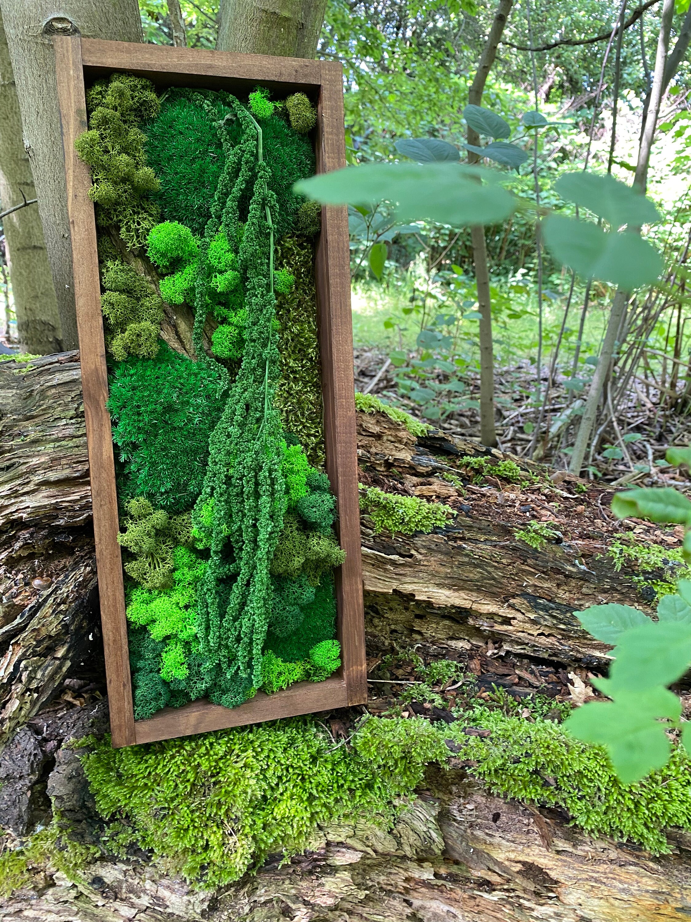 Moss Wood Panel, Moss Wall Decor, Moss in Frame, Moss Art, Green Moss ...