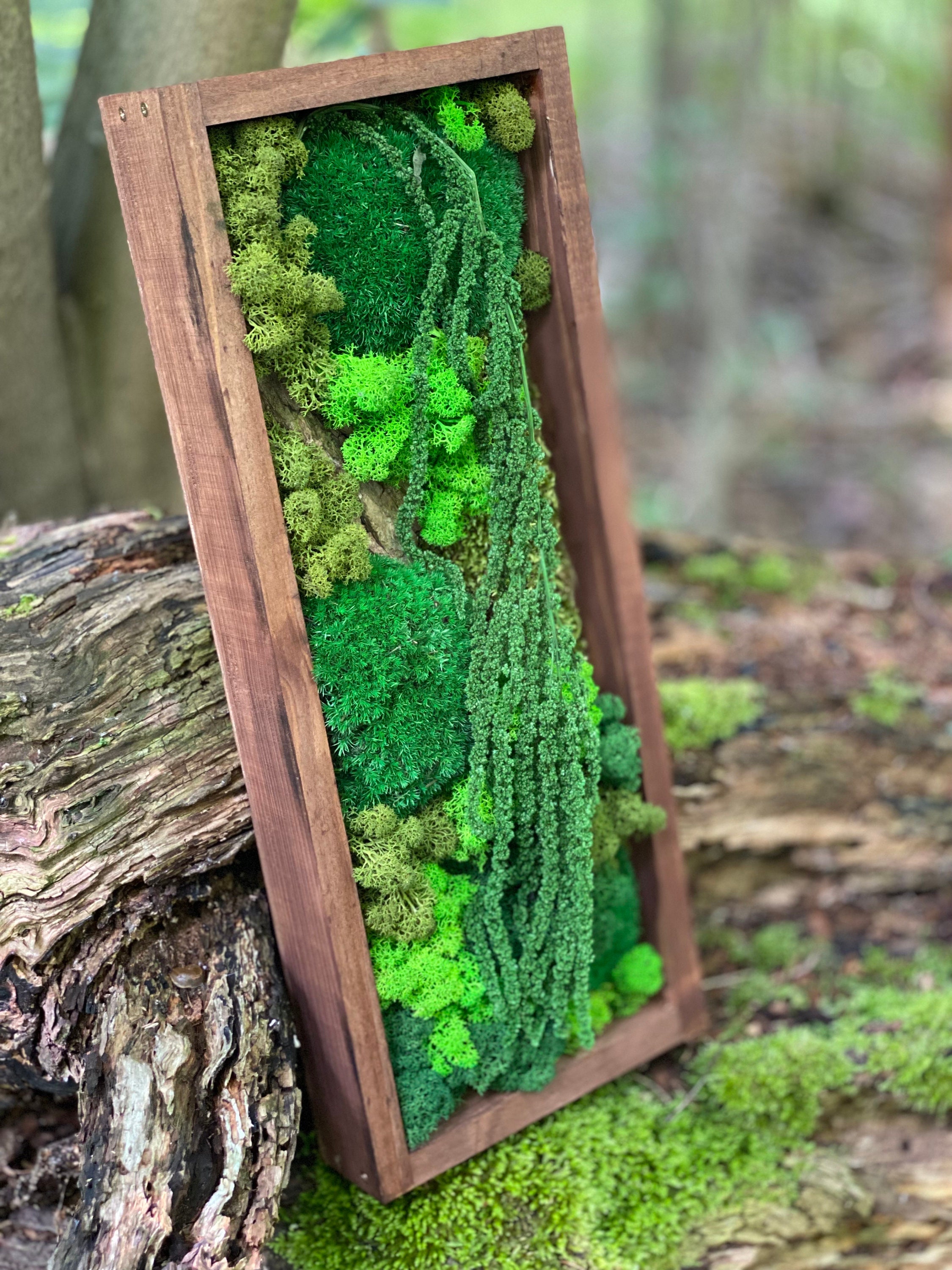 Moss Wood Panel, Moss Wall Decor, Moss in Frame, Moss Art, Green Moss ...