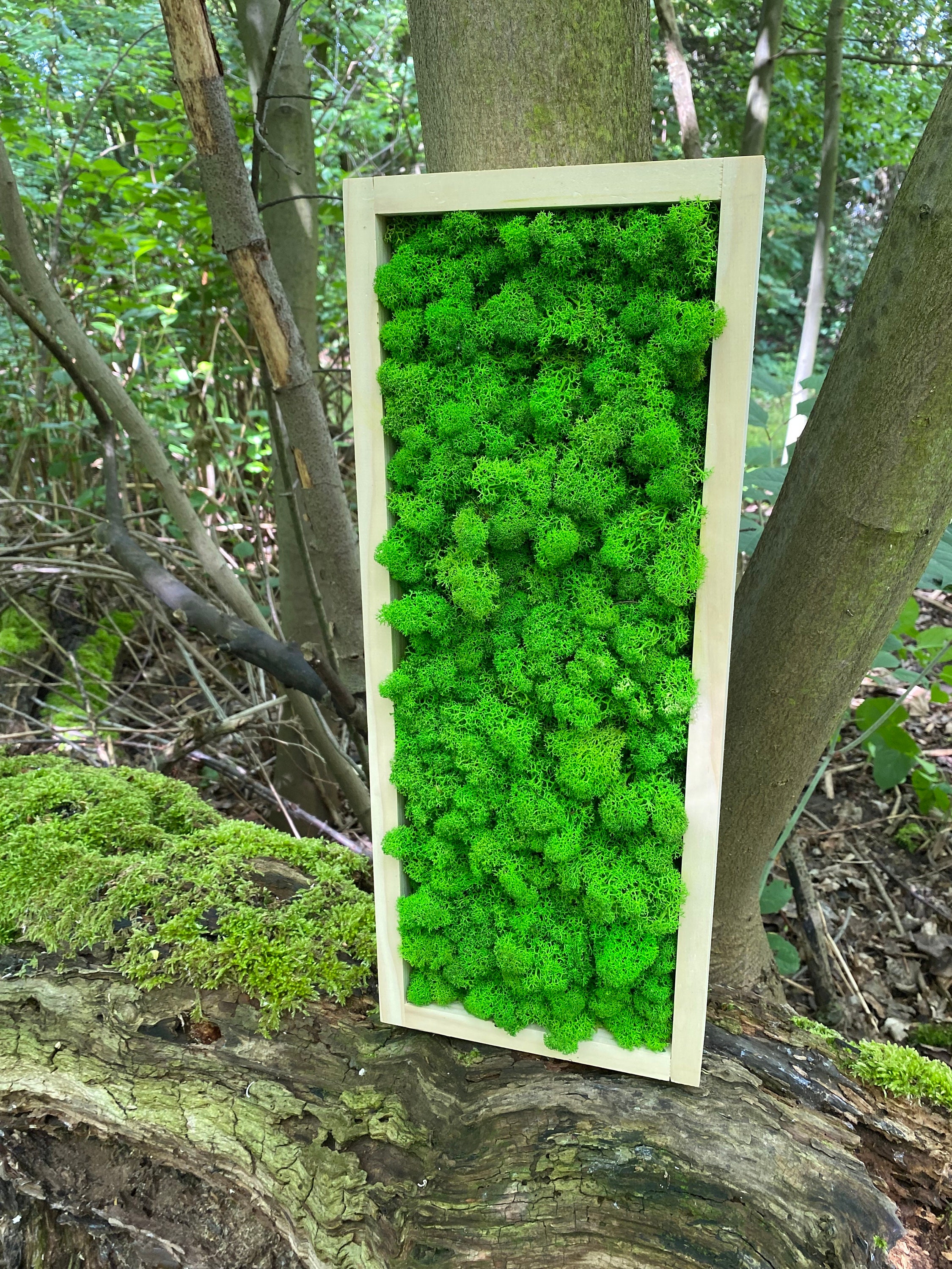 Moss Panel, Moss Wall Decor, Moss in Frame, Moss Art, Living Art, Real ...