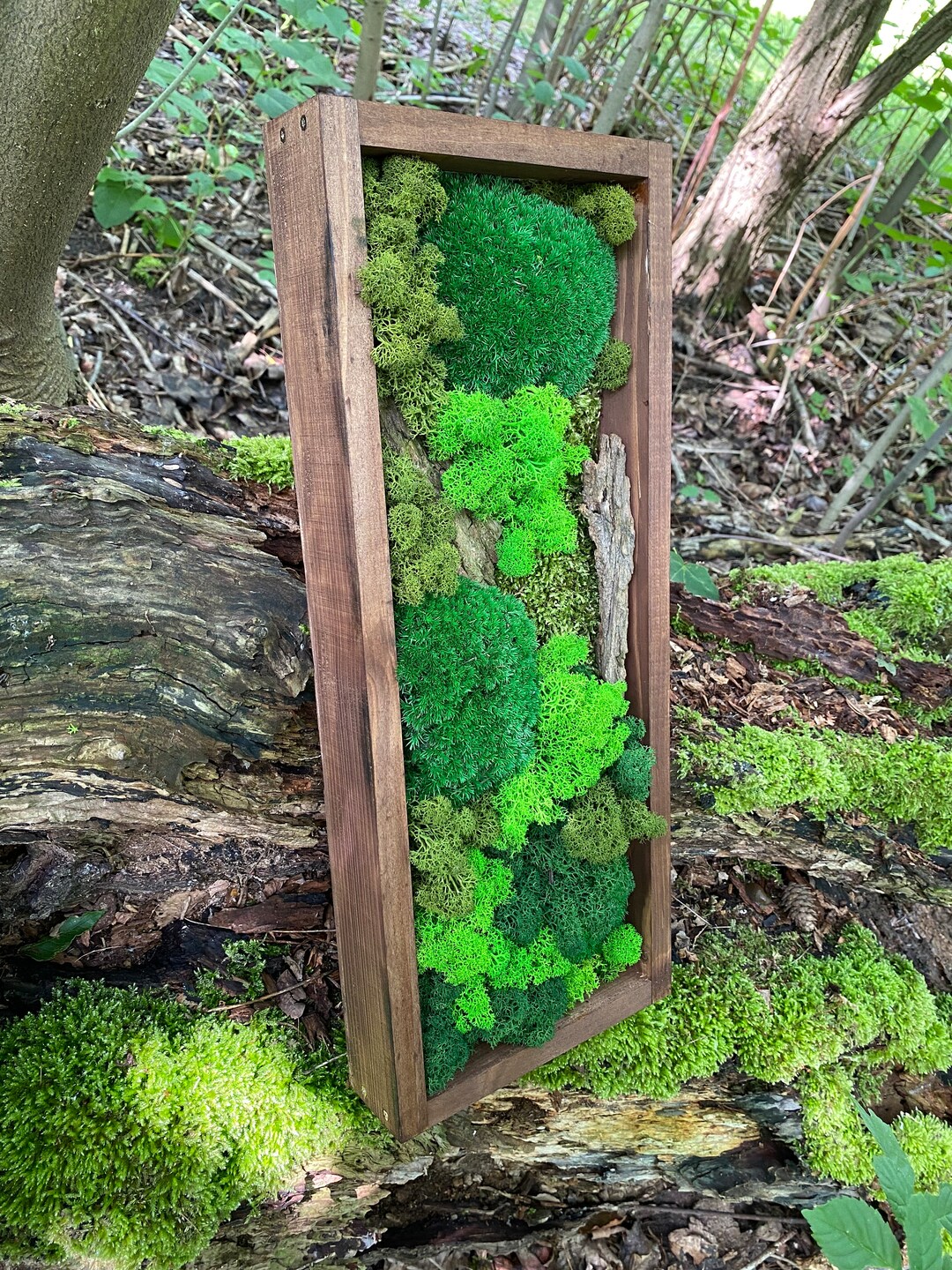 Moss Wood Panel, Moss Wall Decor, Moss in Frame, Moss Art, Green Moss ...