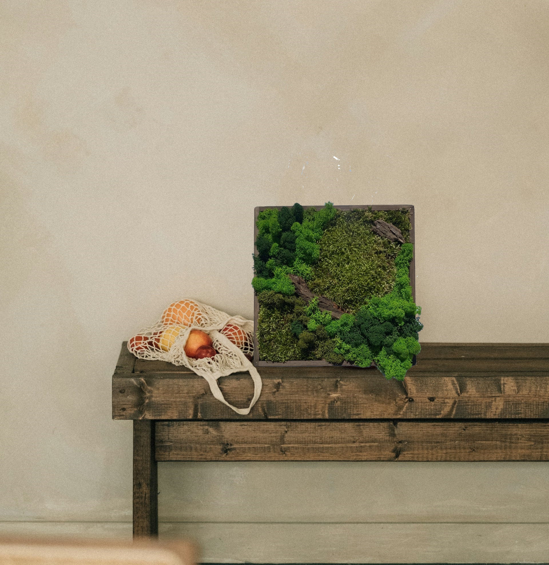 Moss Wood Panel, Moss Wall Decor, Moss in Frame, Moss Art, Green Moss ...
