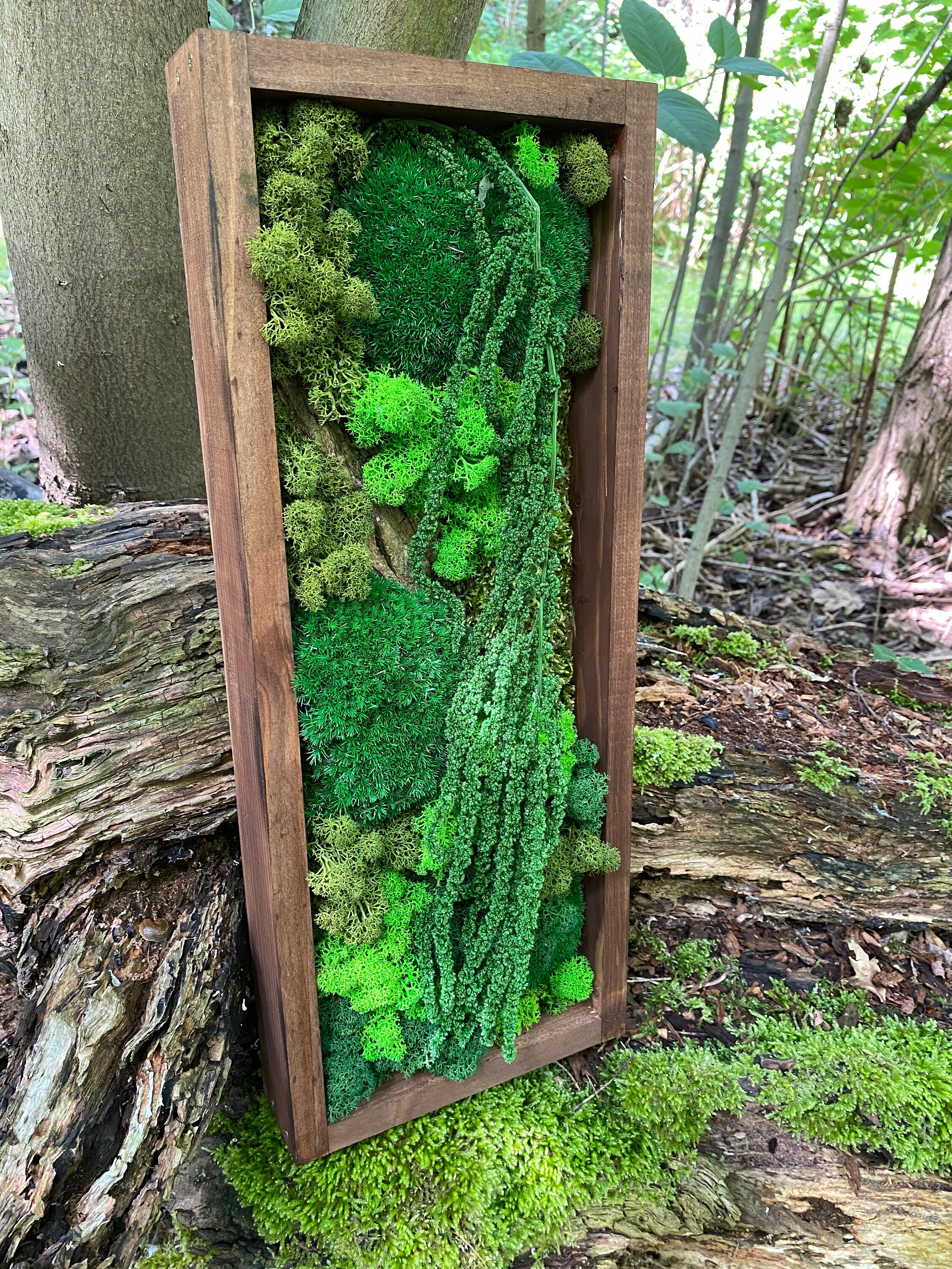 Moss Wood Panel, Moss Wall Decor, Moss in Frame, Moss Art, Green Moss ...
