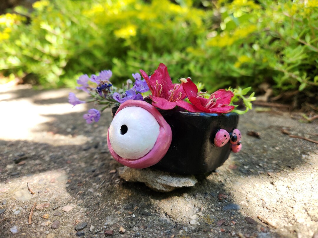Monster Polly Pots. I Do Made to Order Monster Plant Pots Please Email ...