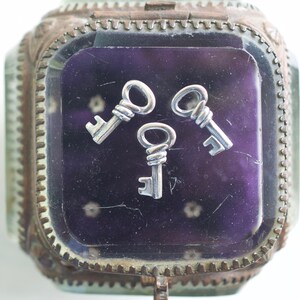 Skeleton Key Necklace Charm Tiny Skeleton Key Charm | Etsy