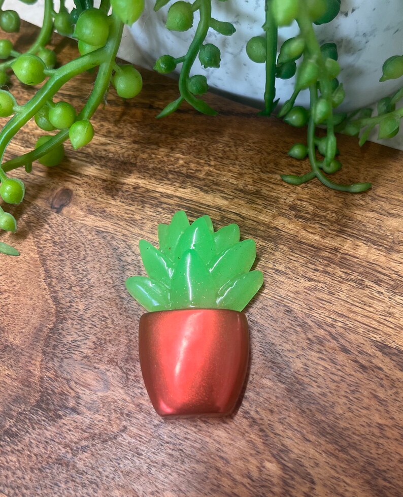 Glow in the Dark Resin Cactus/succulent Magnets - Etsy Australia