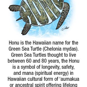 Honu Aka Green Sea Turtle Sticker Hawaii - Etsy