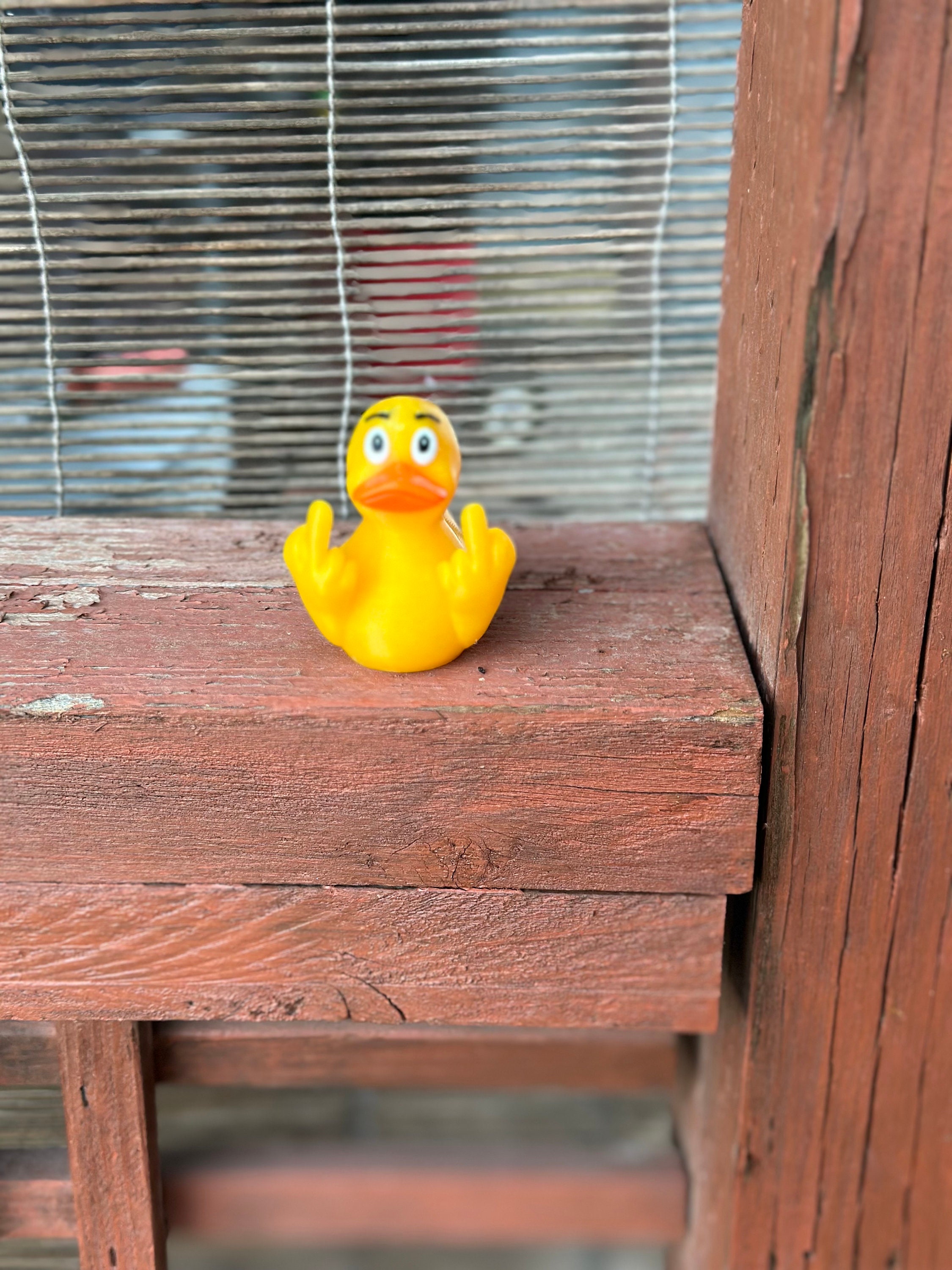 Double Middle Finger Duck - Etsy