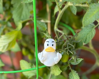 Middle Finger Duck - Etsy