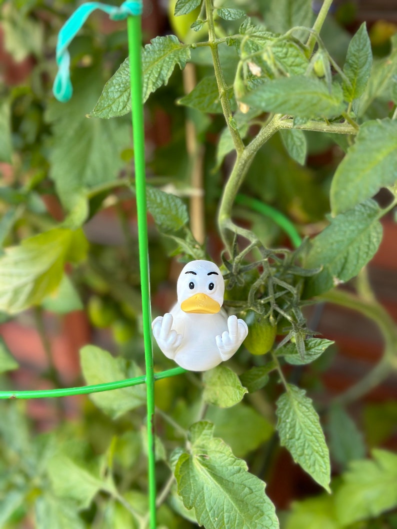 Double Middle Finger Duck - Etsy