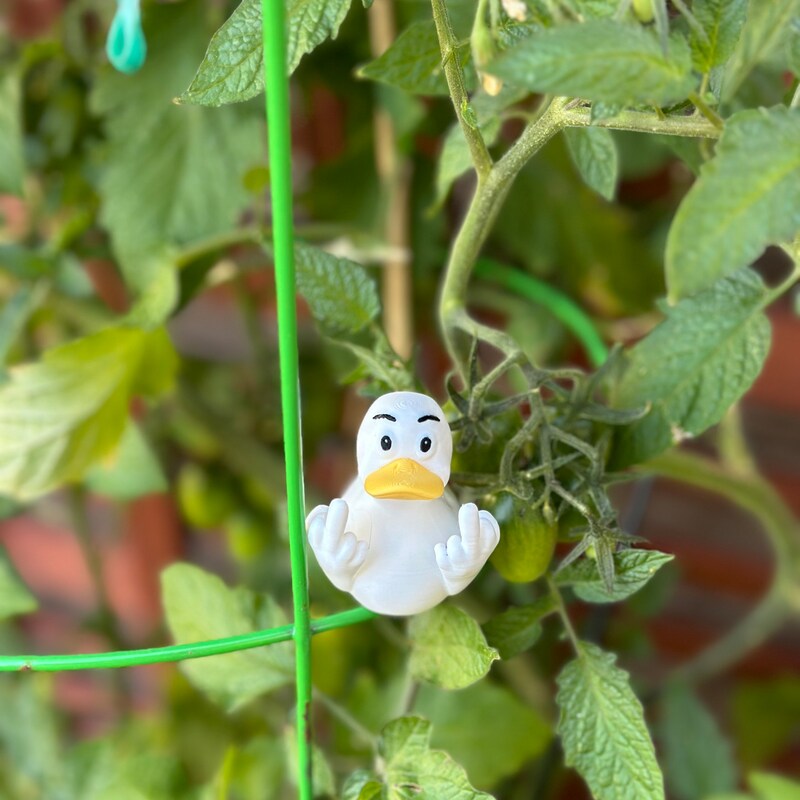 Middle Finger Duck - Etsy