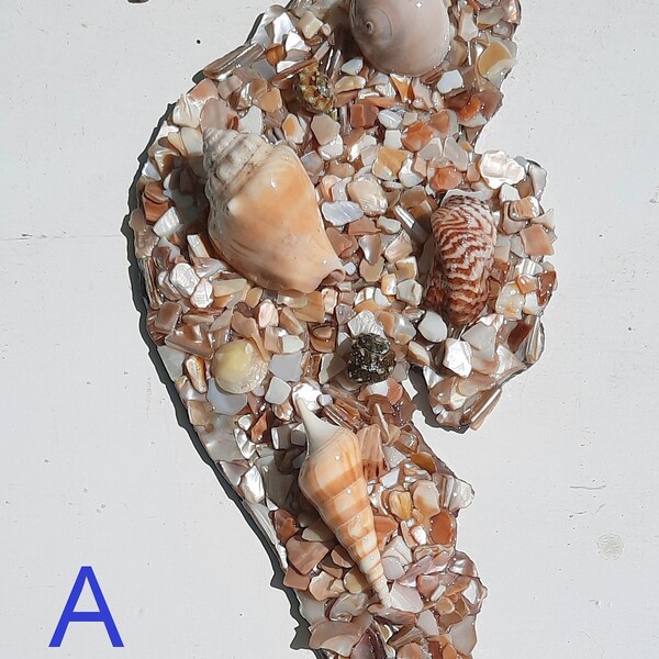 Seashell Seahorse - Etsy