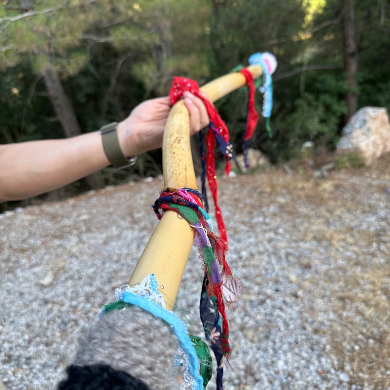 Rain Stick - Etsy