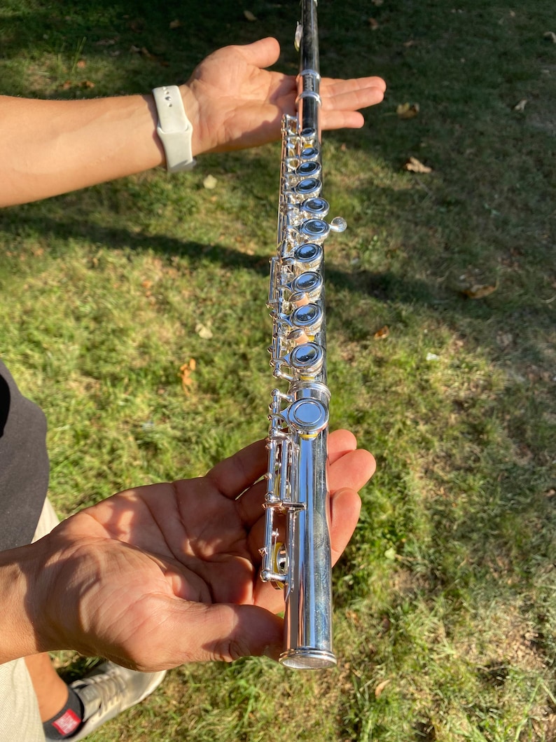 Professional Silver-plated C Side Flute | Wind Musical Instrument ...